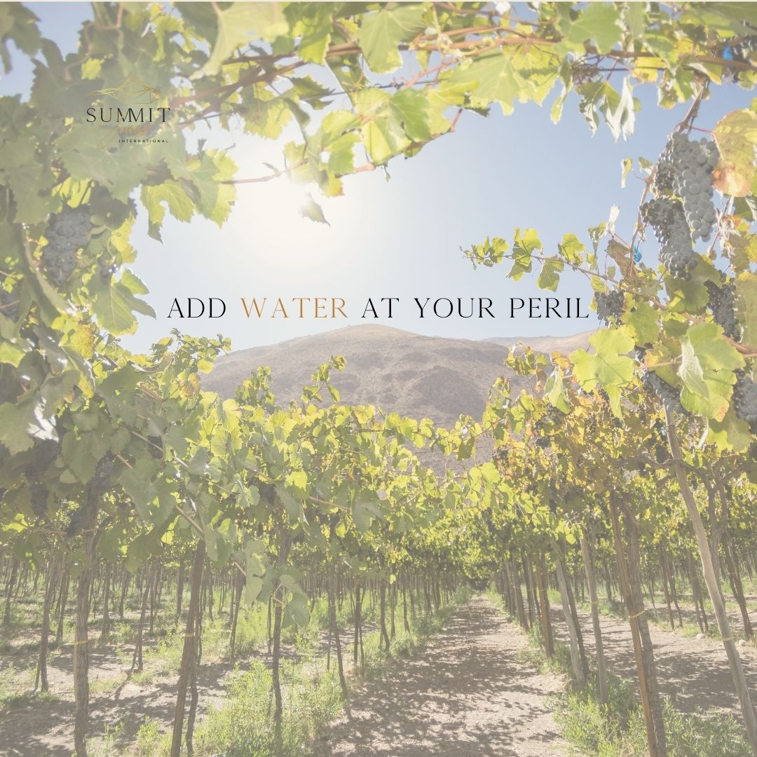 Add Water At Your Peril - Summit Success