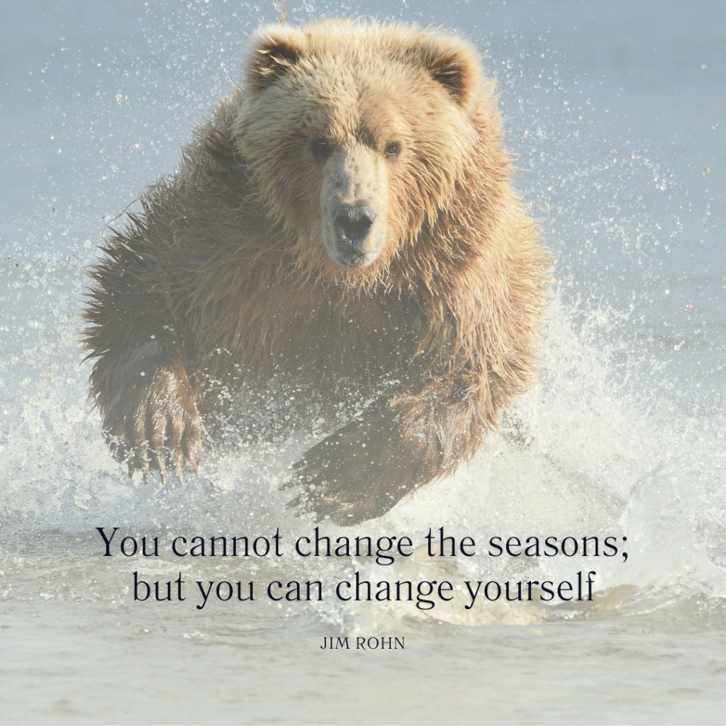 The Bears Are Up - Summit Success